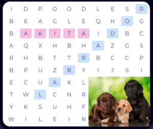 Today is National Dog Day - The Word Search Battle